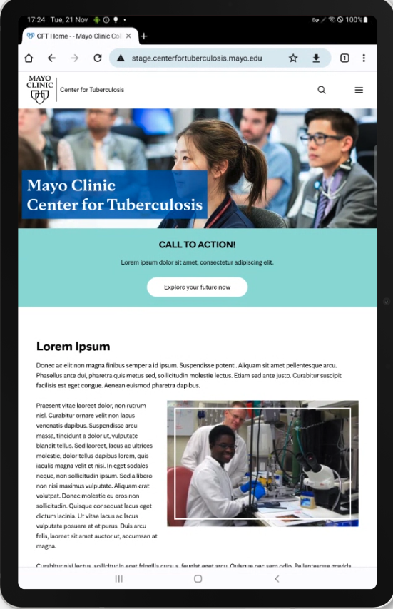 Cross Browser - Terminalfour Designs